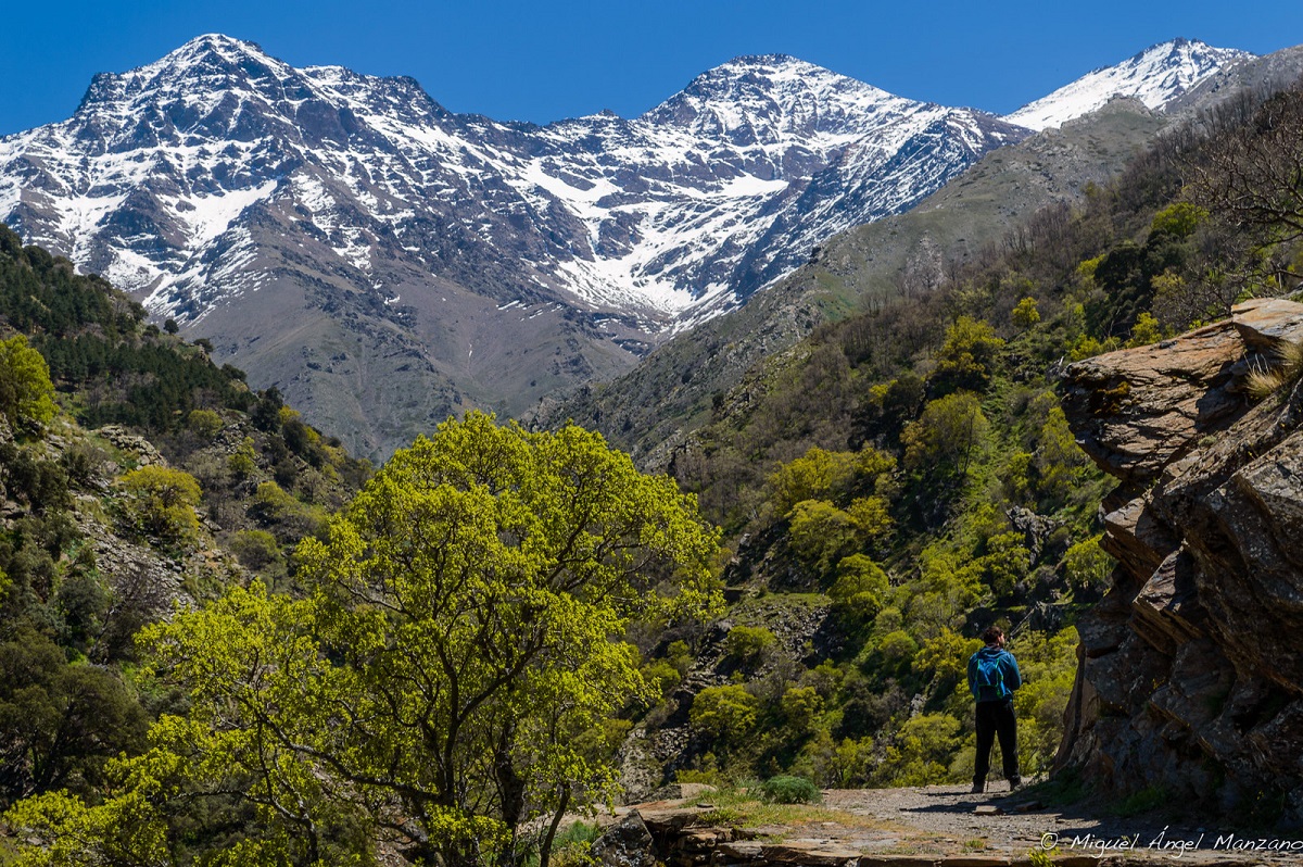 The best hiking trails in the Sierra Nevada | Helle Hollis